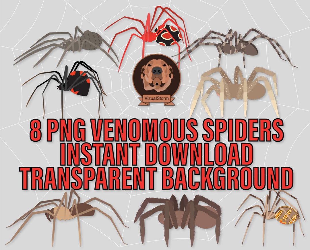 Venomous Spiders Png Clipart Arachnophobia Clip Art, Black Widow ...