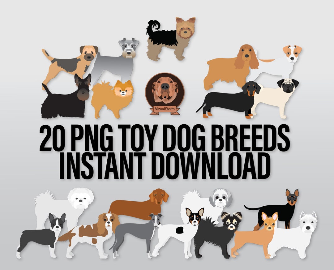 Png Toy Dog Breeds Clipart Bundle, Hand Drawn Small Dog Illustrations ...