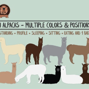 Alpaca Clipart Bundle - Png Farm Animals & Farmhouse Props, Cute ...
