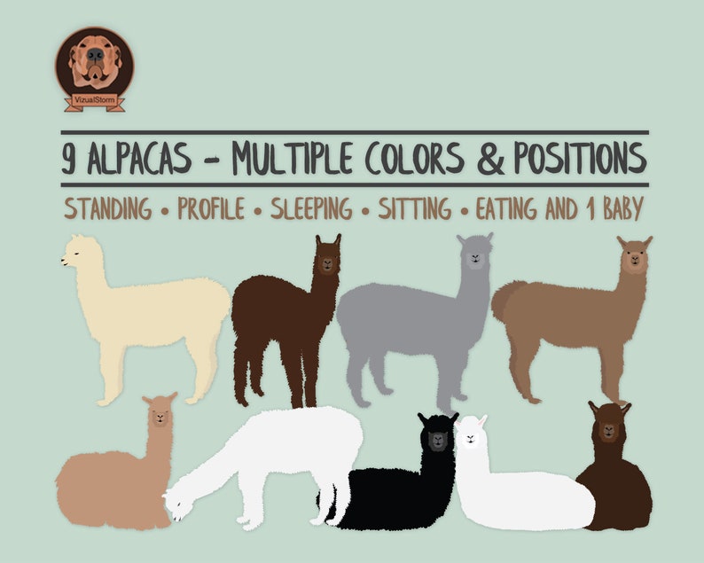 Alpaca Clipart Bundle - Png Farm Animals & Farmhouse Props, Cute ...