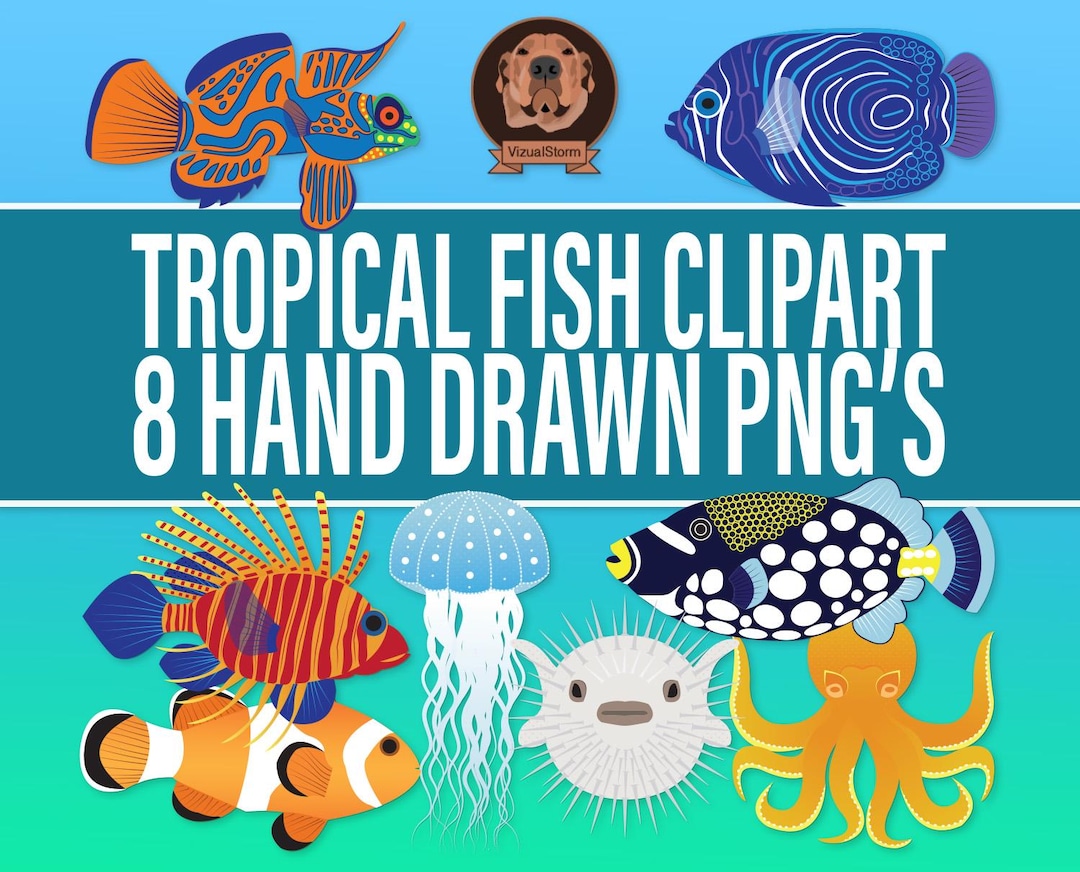 Colorful Tropical Fish Clipart Bundle Perfect for Card Making, Digital ...