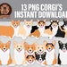 United Kingdom Dog Breeds Clipart - Spaniel, Collie, Ridgeback, Westie ...