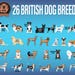 British Dog Breeds Illustration Bundle - Hand Drawn Png Canine Clipart ...