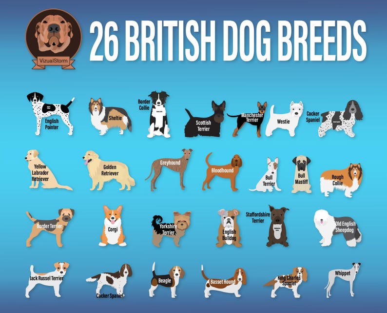 British Dog Breeds Illustration Bundle - Hand Drawn Png Canine Clipart ...