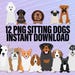 Dog Butt Clipart - Cute Png Pet Behinds, Funny Clip Art With Pit Bull ...