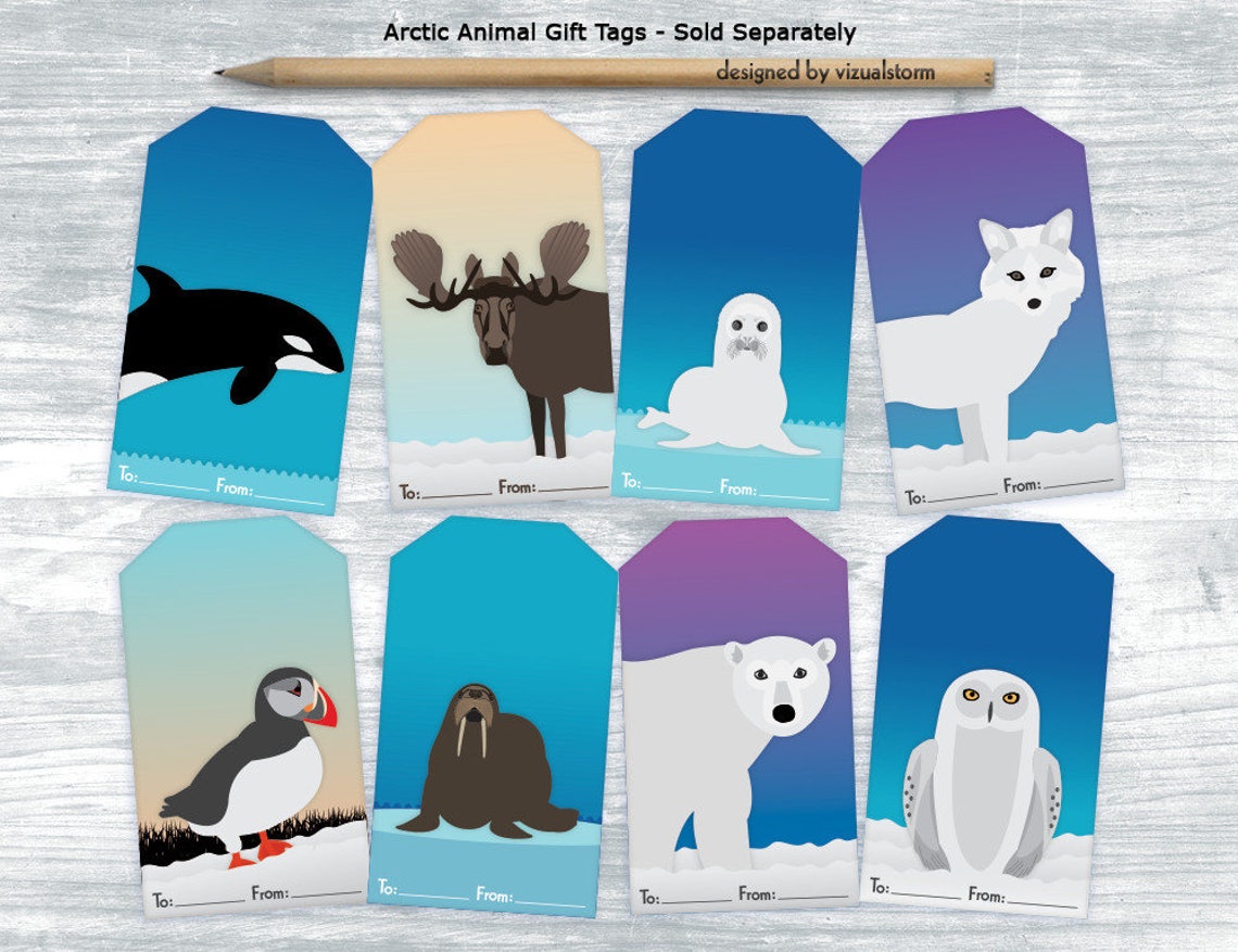 Printable Ocean Creatures Gift Tag Bundle - Illustrated Turtles ...