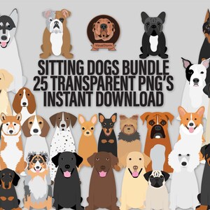 English Cocker Spaniel Dog Breeds Clipart Bundle - Hand Drawn Png Dog ...