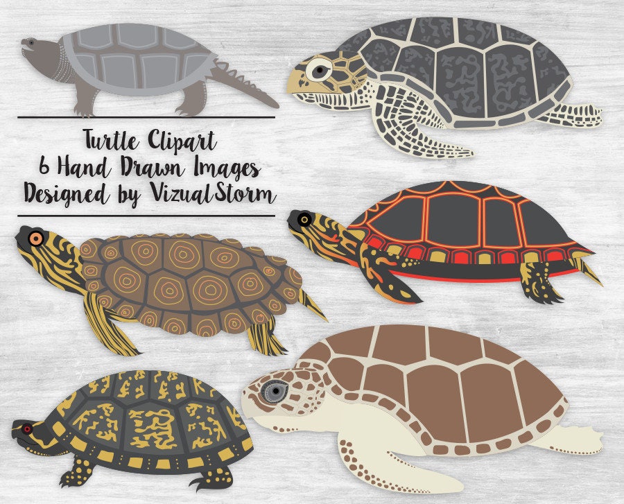 Snapping Turtle Clip Art