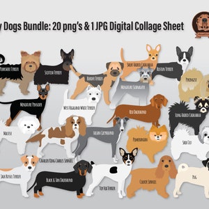 Png Toy Dog Breeds Clipart Bundle, Hand Drawn Small Dog Illustrations ...