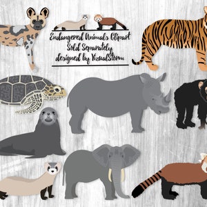 Custom Animal Clipart Pack Add-on Choose Any 10 Animal | Etsy