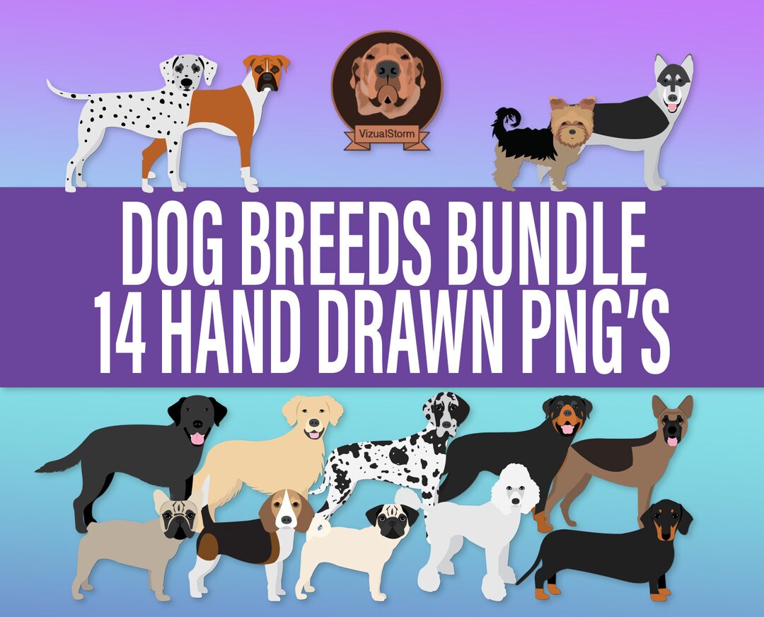 Hand Drawn Dog Breed Clipart Bundle - Png Pet Graphics With French ...