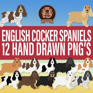 British Dog Breeds Illustration Bundle - Hand Drawn Png Canine Clipart ...