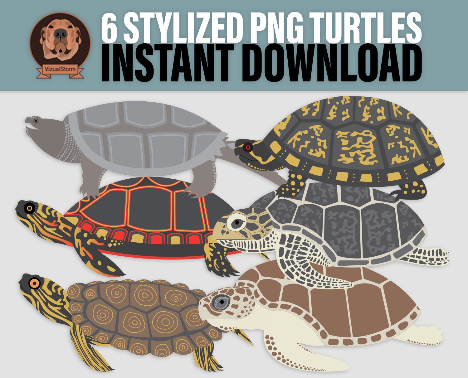 Printable Ocean Creatures Gift Tag Bundle - Illustrated Turtles ...