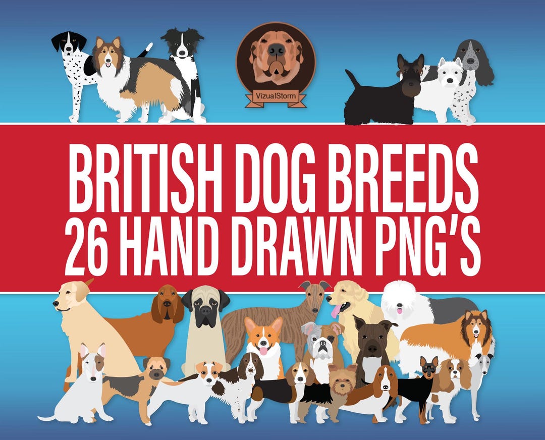 British Dog Breeds Illustration Bundle - Hand Drawn Png Canine Clipart ...
