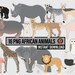 Desert Wildlife Clipart Bundle - PNG Animal Illustrations, Arid Habitat ...