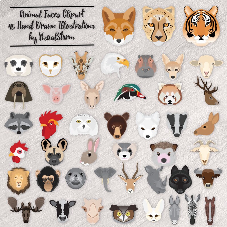Custom Animal Clipart Pack Add-on Choose Any 10 Animal | Etsy
