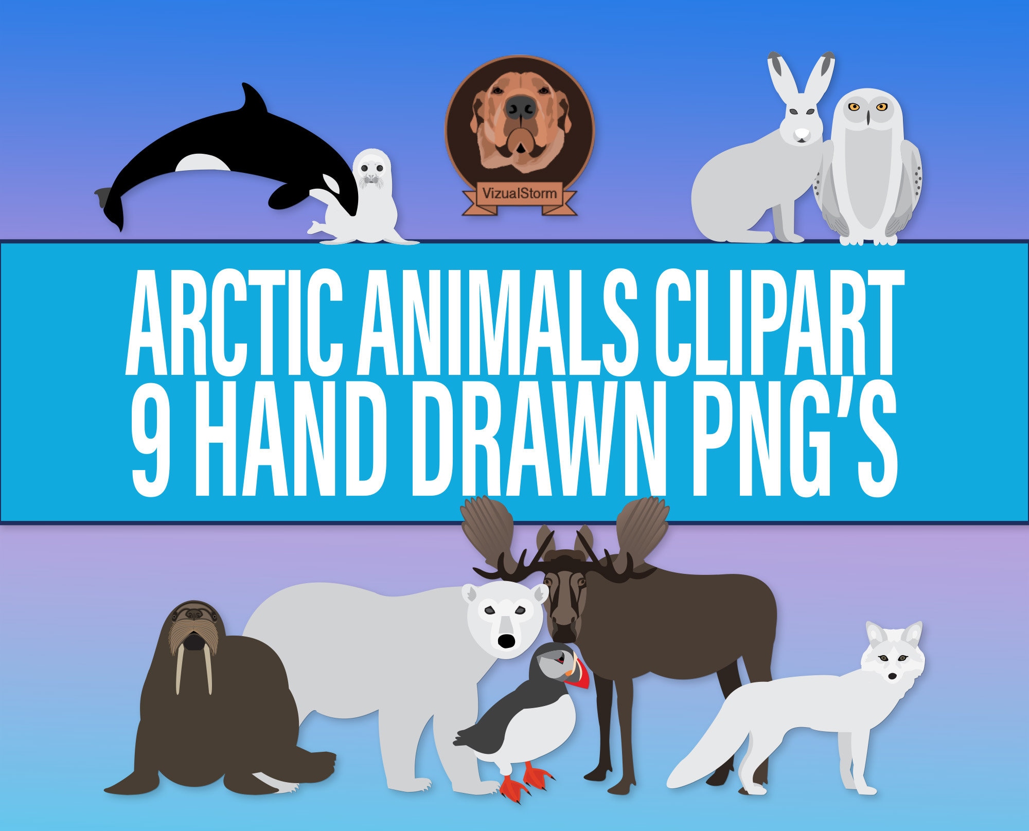 Farmhouse Clipart Bundle - Cute Barn Animal Illustrations, Hand-drawn ...