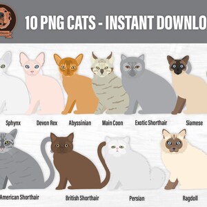 Classroom Cat Clip Art - Cute Cats Holding Chalkboards, Fun Cat Lover ...