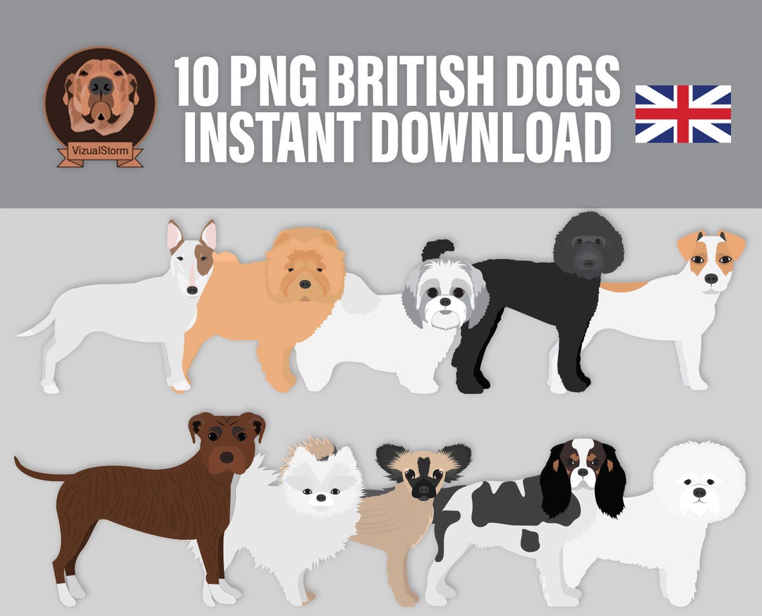 British Dog Breeds Clip Art Hand Drawn Png Brindle Pitbull, Labradoodle ...