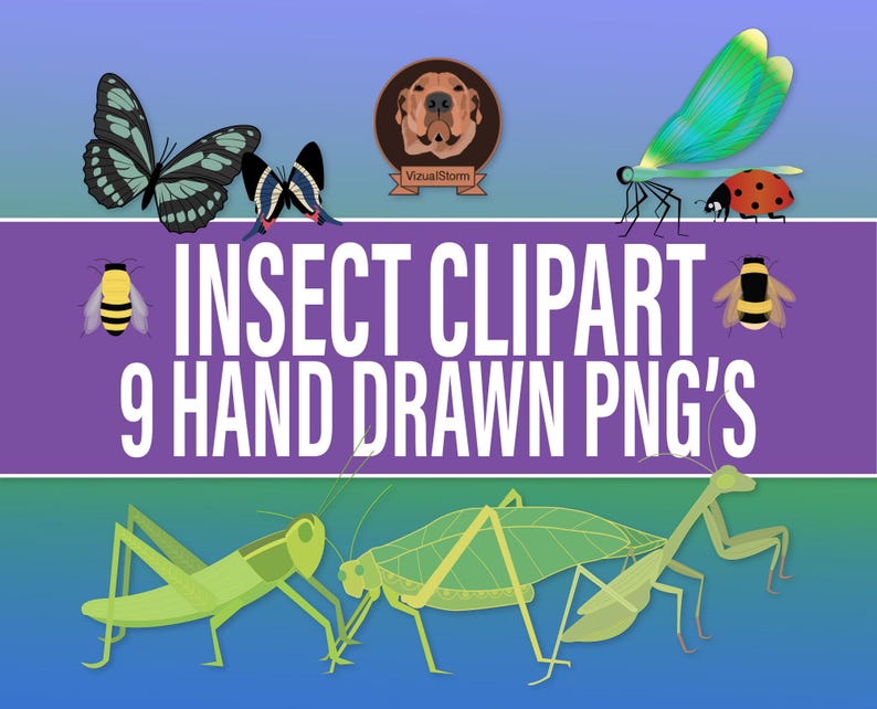 Bug Lover Clipart - Digital Insect Illustrations for Entomology Crafts ...