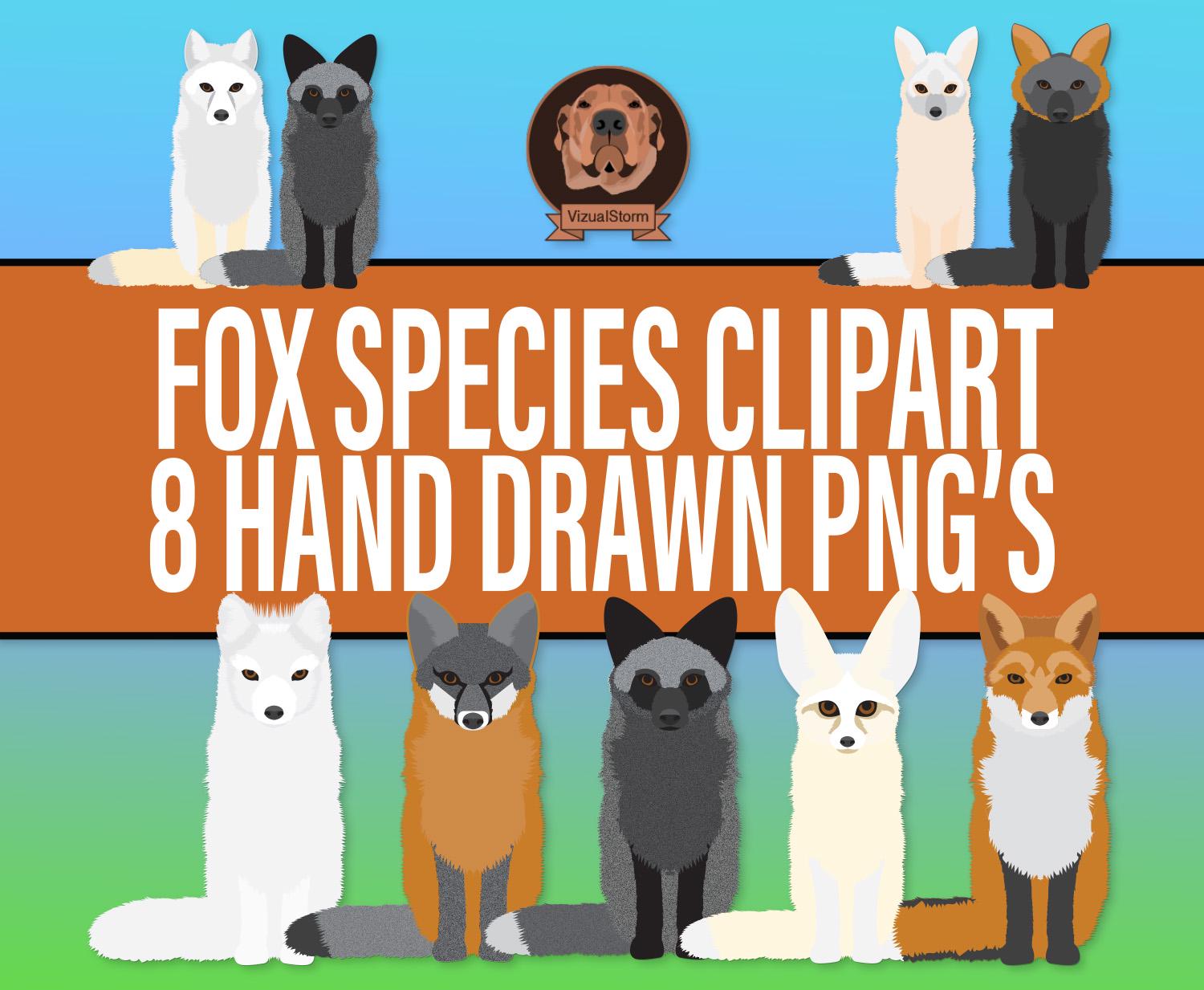Forest Animal Clipart Bundle - Hand Drawn Woodland Creatures, Nature ...