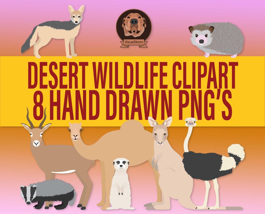 Desert Wildlife Clipart Bundle - PNG Animal Illustrations, Arid Habitat ...