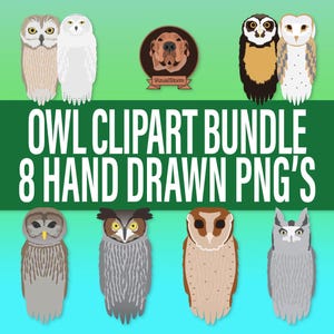 Desert Wildlife Clipart Bundle - PNG Animal Illustrations, Arid Habitat ...