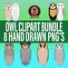 Desert Wildlife Clipart Bundle - PNG Animal Illustrations, Arid Habitat ...