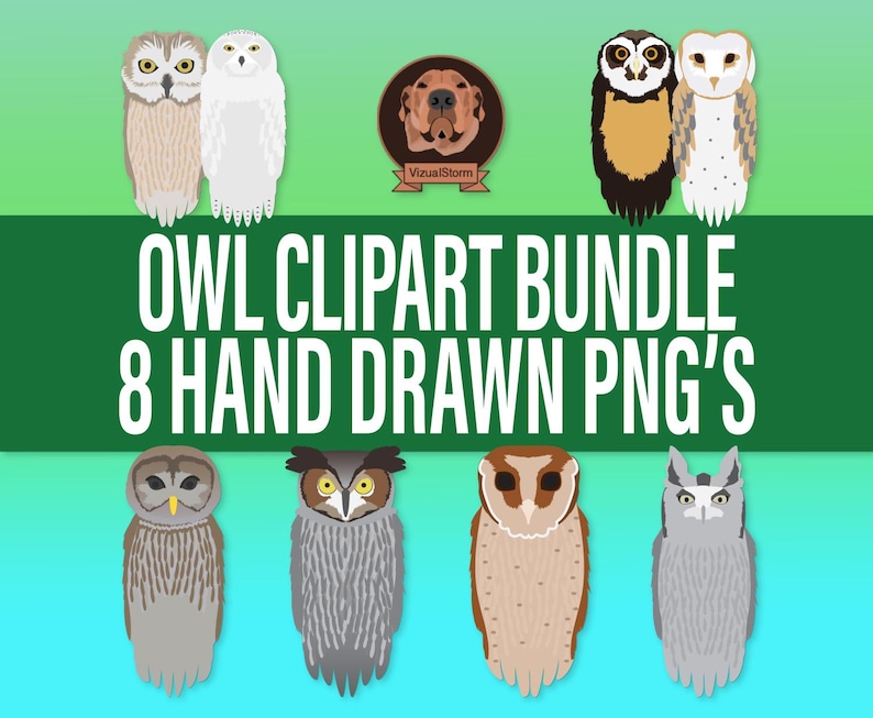 Desert Wildlife Clipart Bundle - PNG Animal Illustrations, Arid Habitat ...