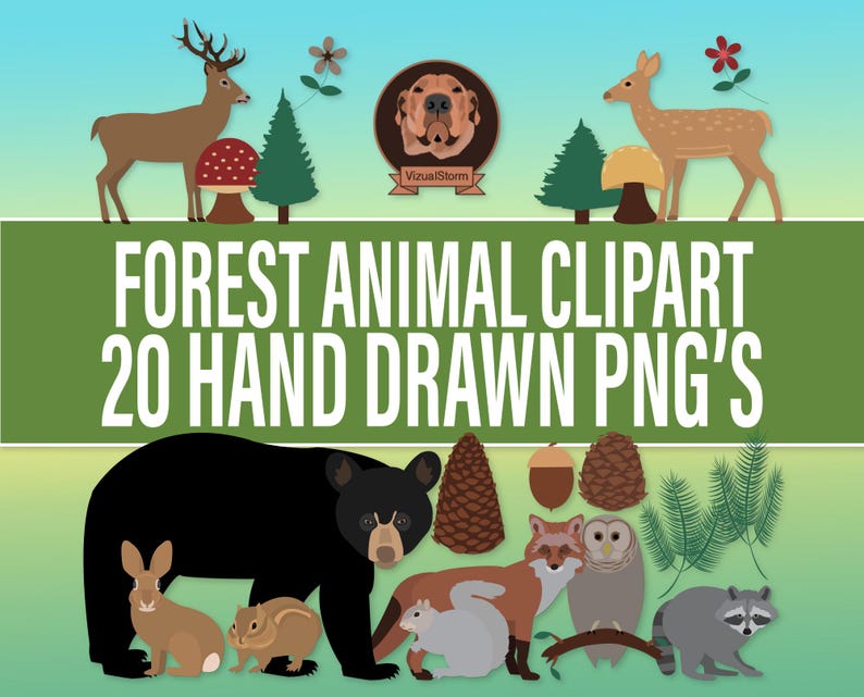 Forest Animal Clipart Bundle - Hand Drawn Woodland Creatures, Nature ...
