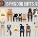 Dog Butts Png Clipart Set 2 - Digital Poses of Dogs From Behind, Cute ...