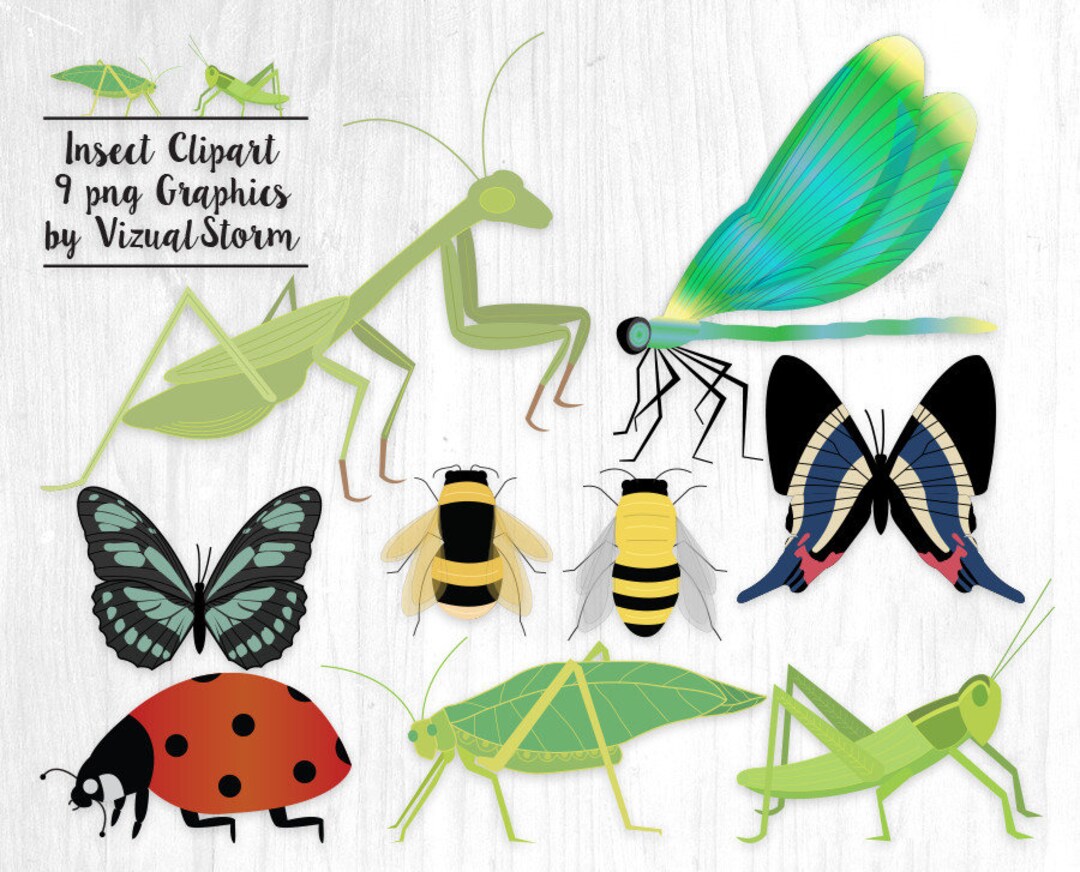 Praying Bee Clip Art