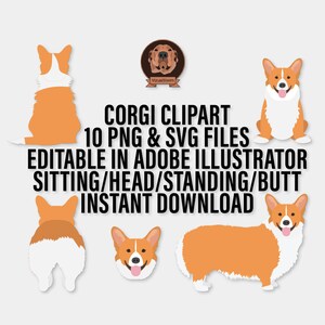 Cute Corgi Illustrations - Png Pembroke Welsh Corgi Clipart Bundle ...