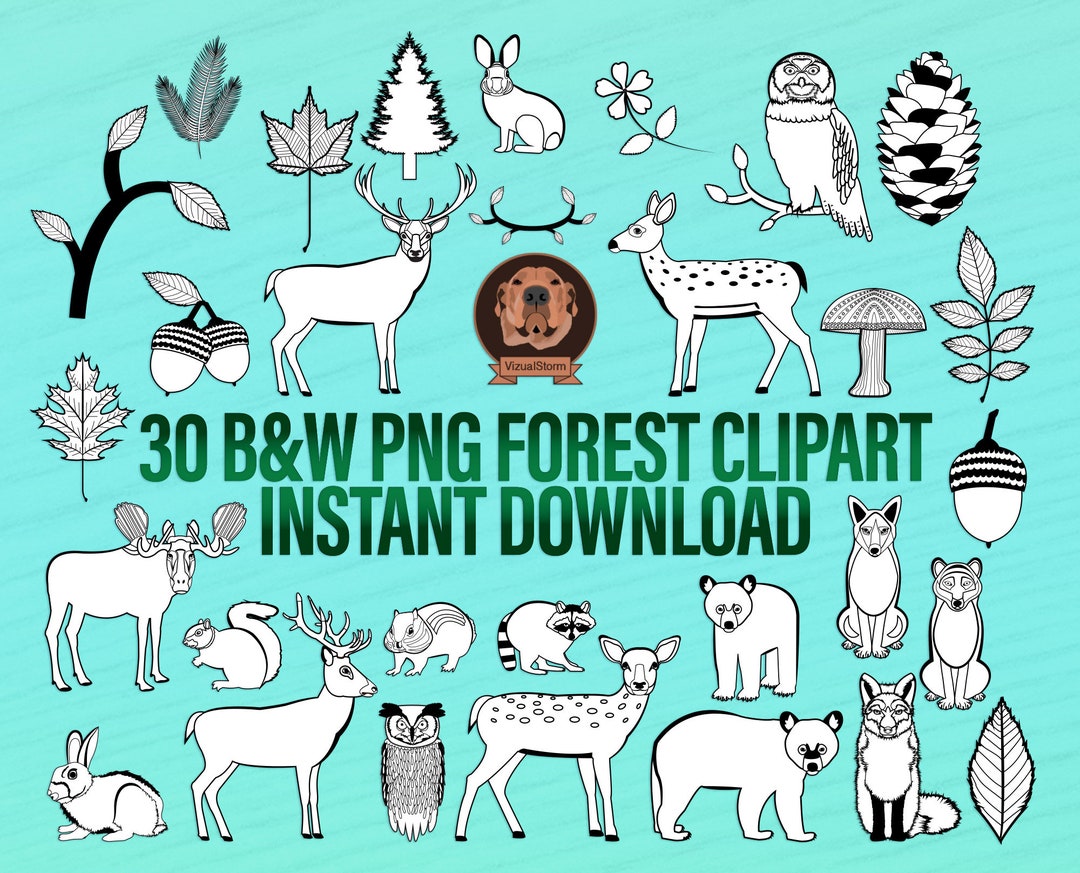 Forest Doodles Clipart Bundle - Black & White Plants and Animals for ...