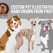 English Cocker Spaniel Dog Breeds Clipart Bundle - Hand Drawn Png Dog ...