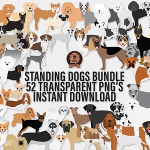 English Cocker Spaniel Dog Breeds Clipart Bundle - Hand Drawn Png Dog ...
