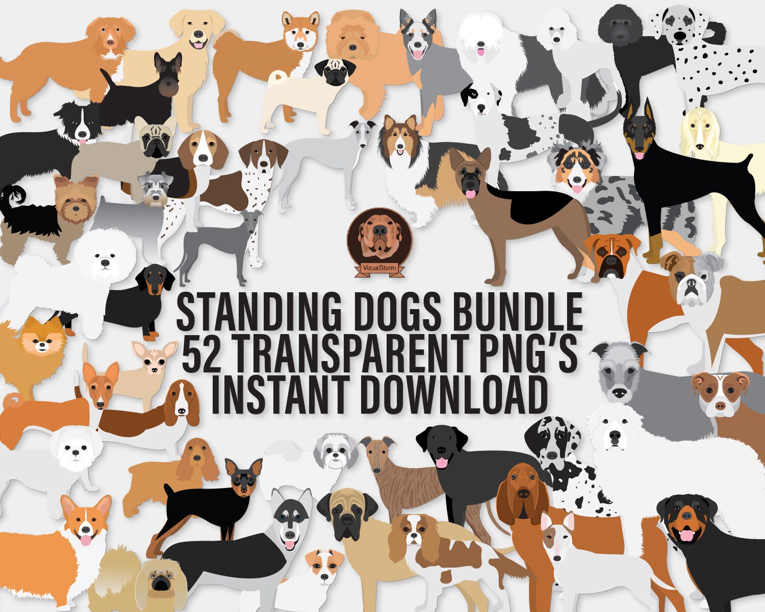 English Cocker Spaniel Dog Breeds Clipart Bundle - Hand Drawn Png Dog ...