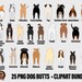 Dog Butts Bundle Clipart 25 Dog Rear End Graphics Aussie - Etsy