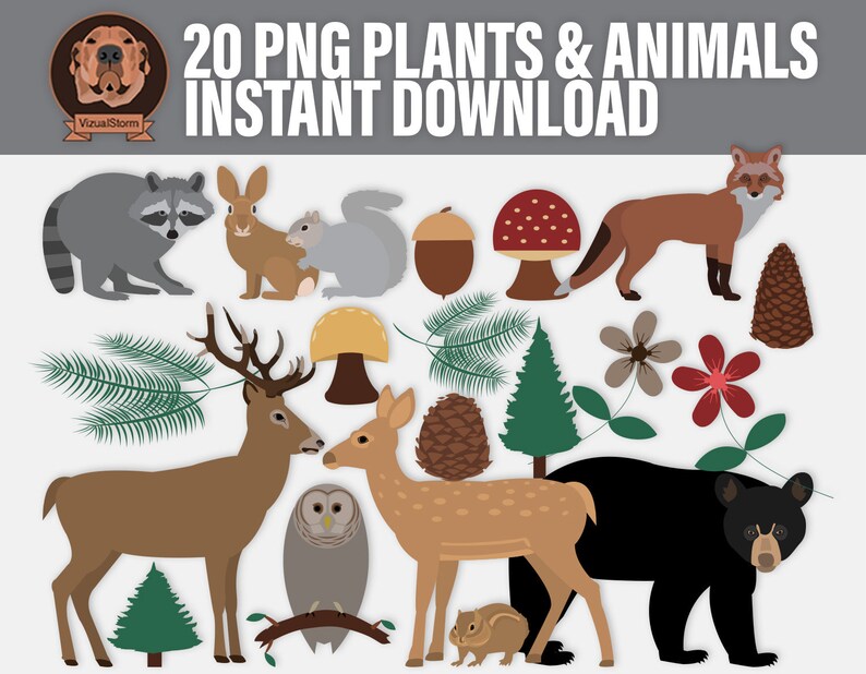 Forest Animal Clipart Bundle - Hand Drawn Woodland Creatures, Nature ...