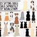 Dog Butts Bundle Clipart 25 Dog Rear End Graphics Aussie - Etsy