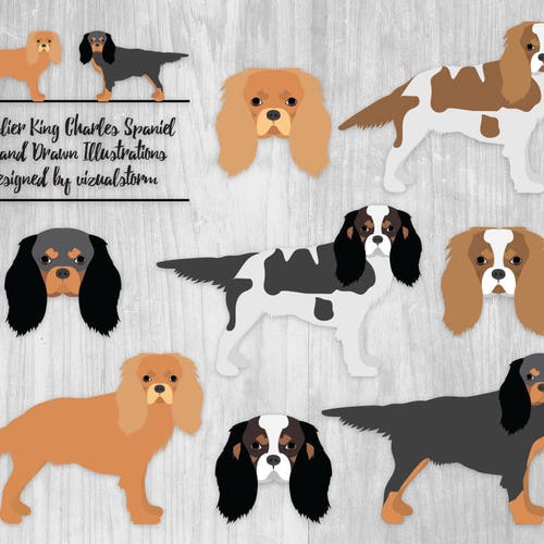 Tri Color Cavalier King Charles Spaniel Art CANVAS Print | Etsy