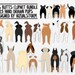 Cute Corgi Illustrations Png Pembroke Welsh Corgi Clipart Bundle, Hand ...