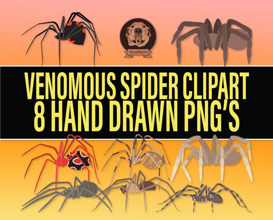 Creepy Crawly Spider Clipart Pack - Venomous Arachnids, PNG Halloween ...