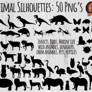 Forest Silhouettes Clipart Bundle - Png Woodland Animal Clip Art ...
