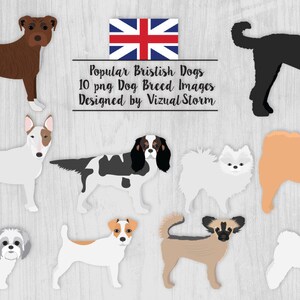 United Kingdom Dog Breeds Clipart - Spaniel, Collie, Ridgeback, Westie ...