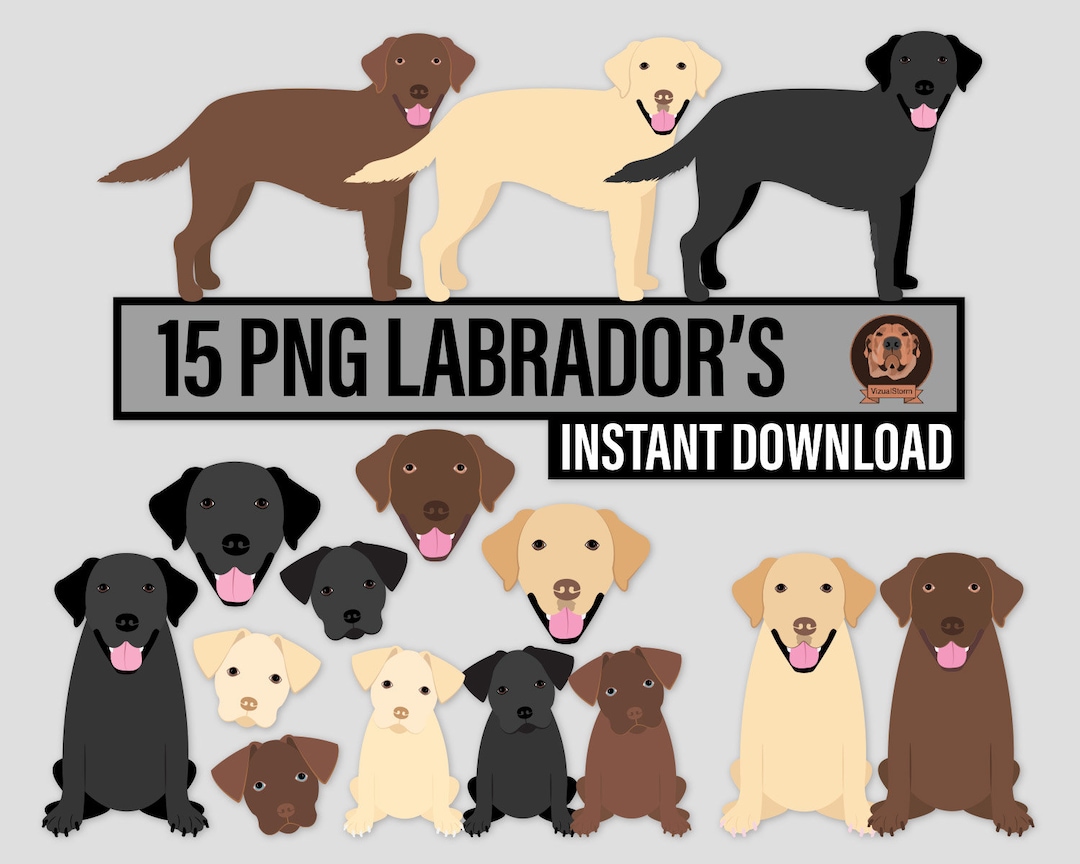 Png Labrador Retriever Clipart, Sitting, Standing and Portraits, Black ...