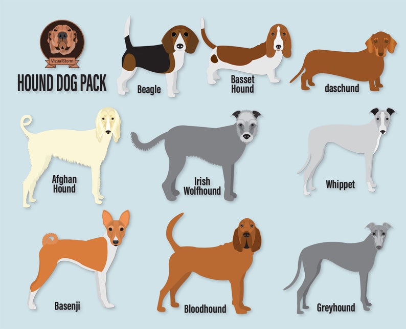 Hound Dog Pack Clipart - Variety of Breeds, Perfect for Crafting and ...