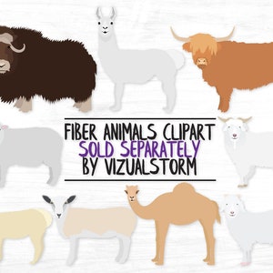 Alpaca Clipart Bundle - Png Farm Animals & Farmhouse Props, Cute ...