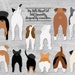 Dog Butts Bundle Clipart 25 Dog Rear End Graphics Aussie, Labrador ...