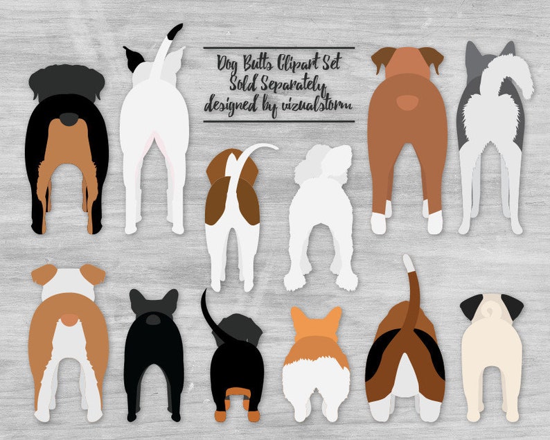 Dog Butts Png Clipart Set 2 - Digital Poses of Dogs From Behind, Cute ...